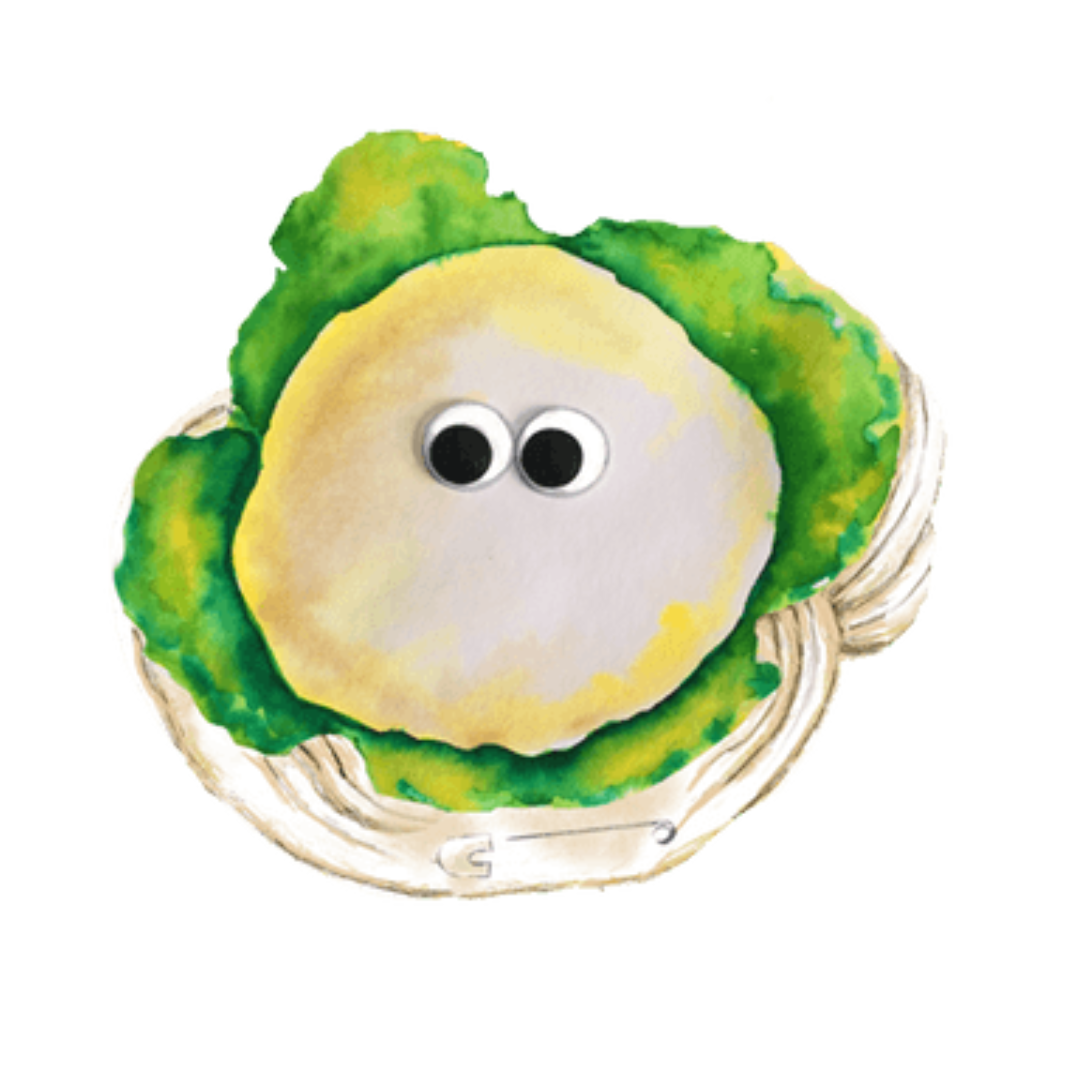 Early Years Resources UK | Let's Grow